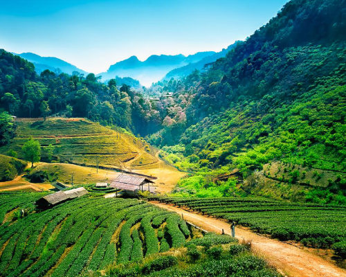 Thailand – Rovers and Seekers